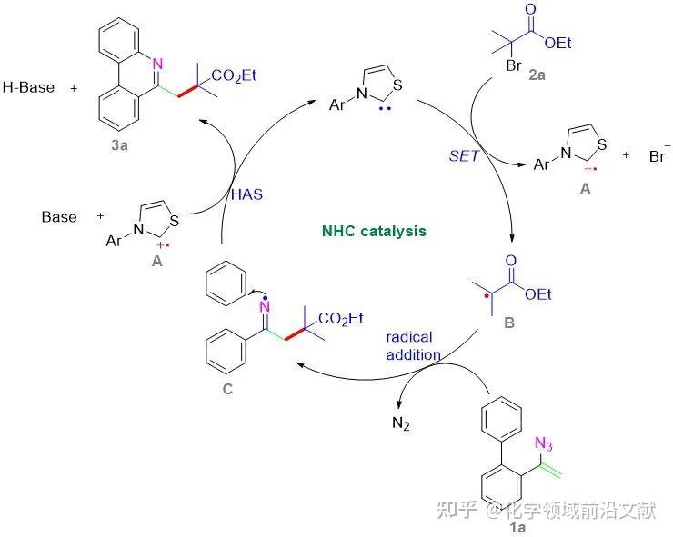 暨南大学王成明教授课题组OL：N-杂环卡宾催化氧化还原中性生成亚胺基自由基：从乙烯基叠氮化物快速构建菲啶类杂环 - 知乎