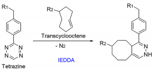 immunoPET与核素偶联抗体药物系列 | 偶联策略 - 知乎