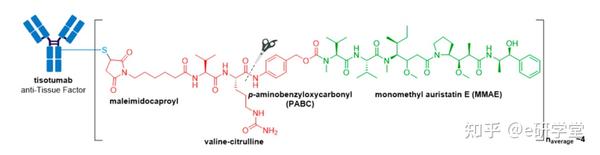 深度盘点FDA批准用于癌症治疗的抗体偶联药物（ADC） - 知乎