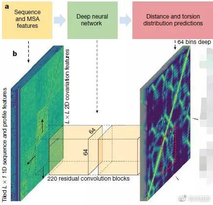 [AI设计与预测13] DeepMind阿尔法Fold ，进步超过去20年总和 - 知乎