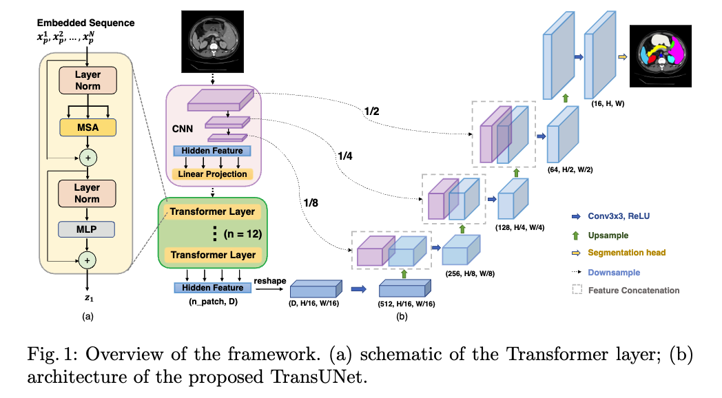 [20] TransUNet: 将Transformer Encoder 融入 U-Net 做医学图像分割 - 知乎