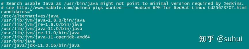 Jenkins启动失败的七个问题 - 知乎