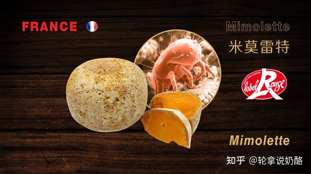 轮拿说奶酪 | 法国奶酪 Mimolette 米莫雷特奶酪 - 知乎