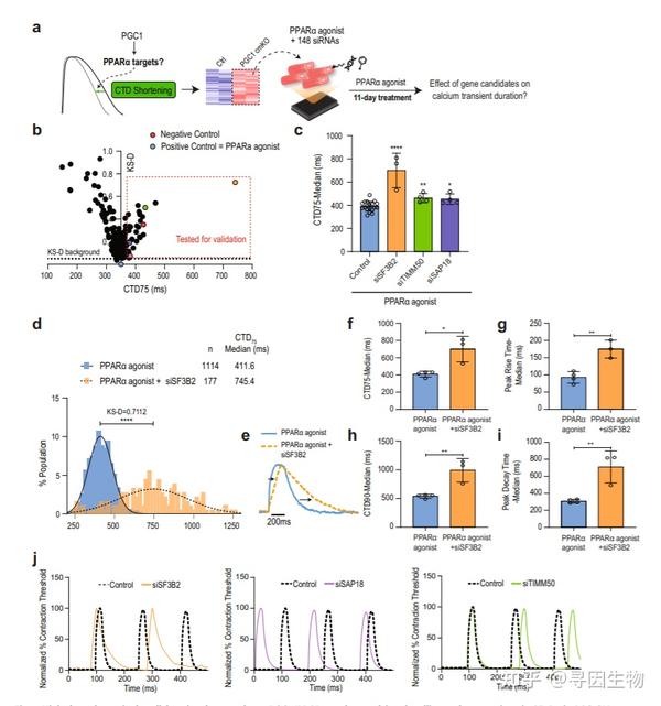 单细胞水平的心肌细胞成熟机制探索 - 知乎