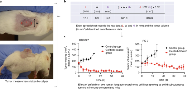 关于CDX模型，这些知识点你必须了解！ - 知乎