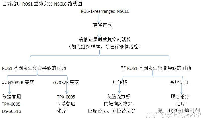 一文了解肺癌八大基因（EGFR、ALK、ROS1、BRAF V600E、MET、RET、HER2、KRAS、PD-L1）靶向药物的用法用量大全 ...