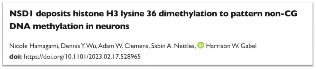 DNA甲基化究竟发生在哪儿？如何发生？ - 知乎