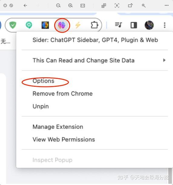 Sider：ChatGPT Copilot | 免费Chrome插件 | 侧边栏 - 知乎