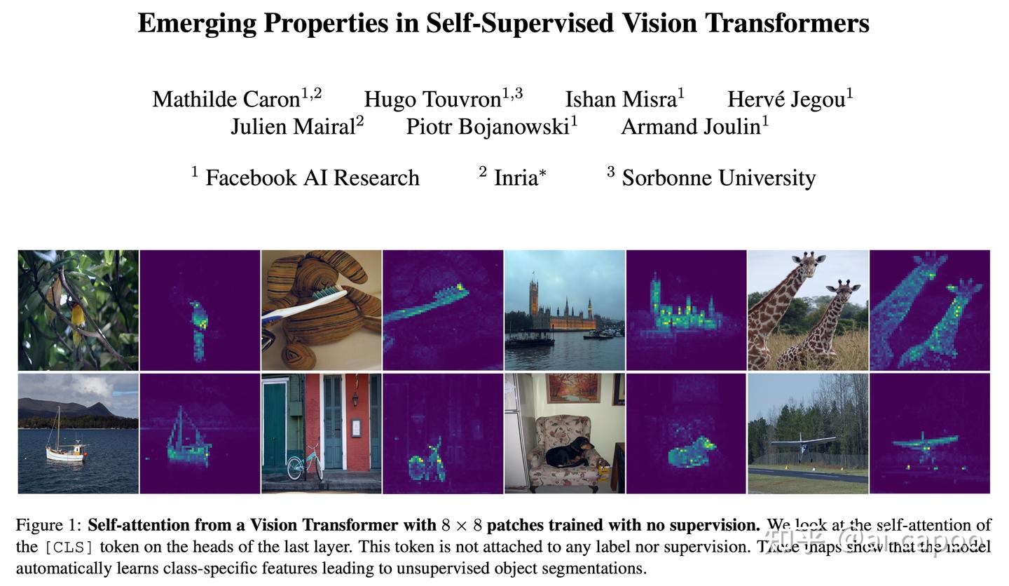 论文笔记（2025.07.16）(ICCV 2021) Emerging Properties in Self-Supervised Vision Transformers - 知乎