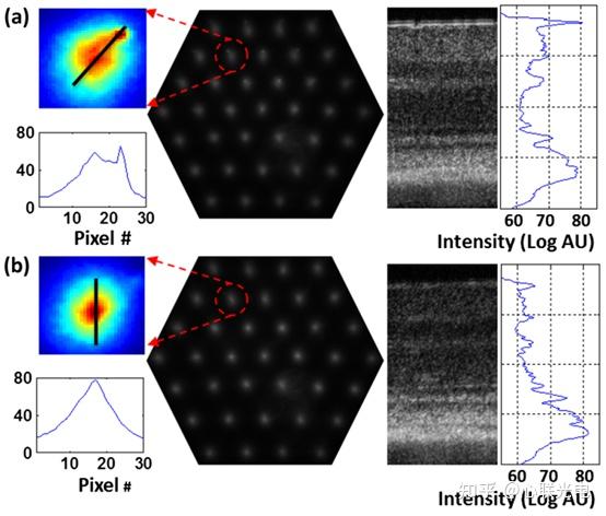 J BIOMED OPT：用于小鼠视网膜体内成像的自适应光学OCT - 知乎