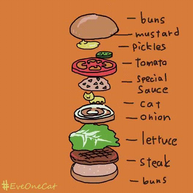 魔性猫猫everyday one cat 表情包 - 知乎