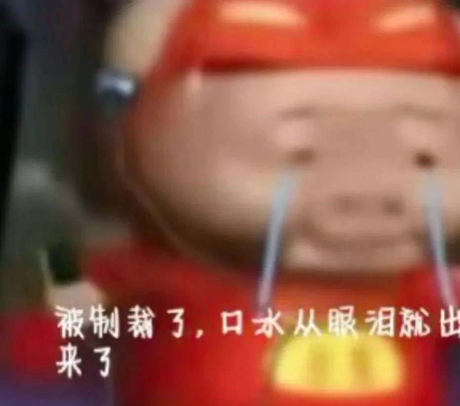 热门猪猪侠：美丽的小姐我叫Bond,GGBond表情包 - 知乎