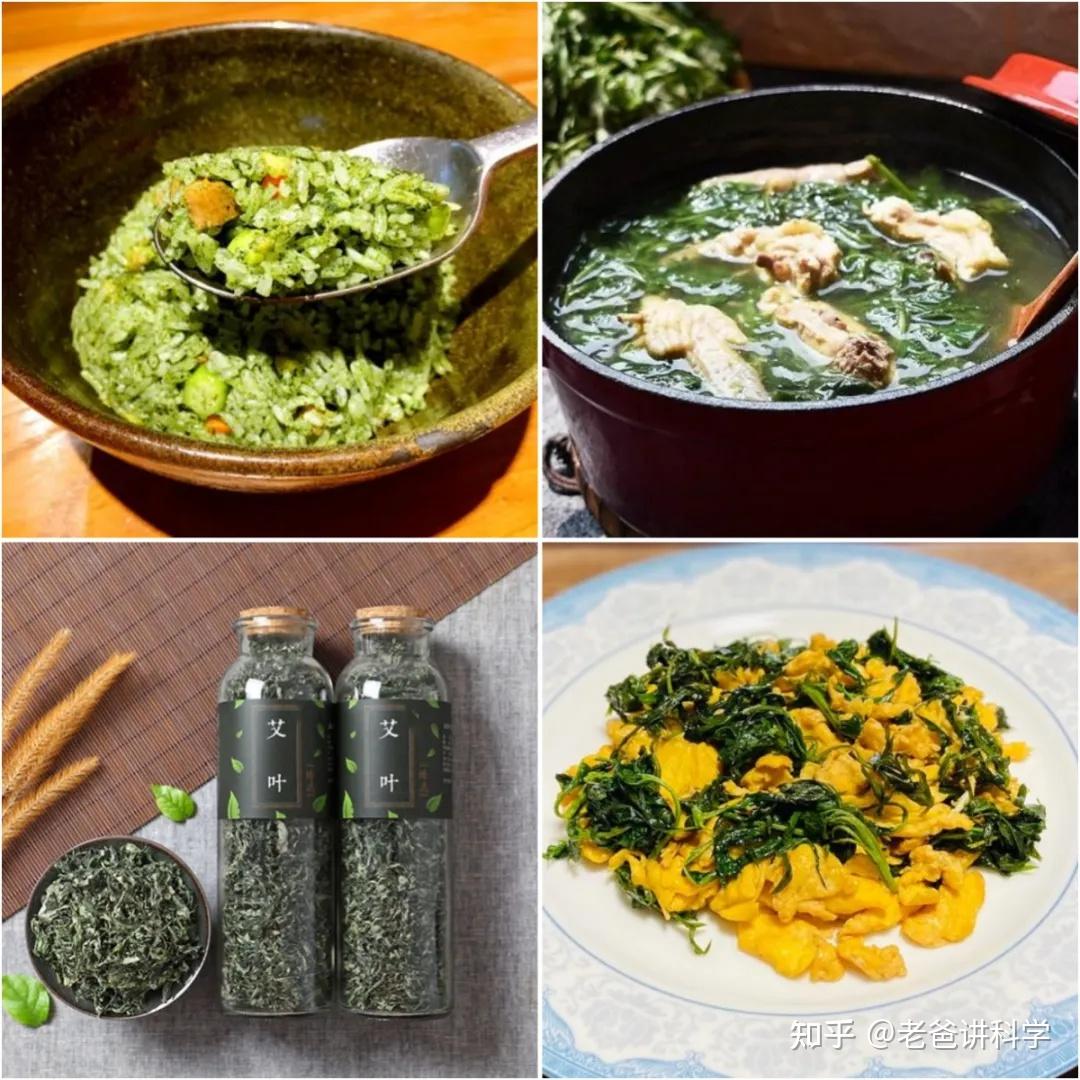 清明时节须当心：艾叶有毒，艾灸致癌 - 知乎