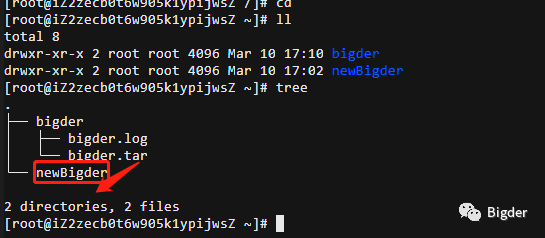 08、Linux打包解压文件-Exiting with failure status due to previous errors - 知乎