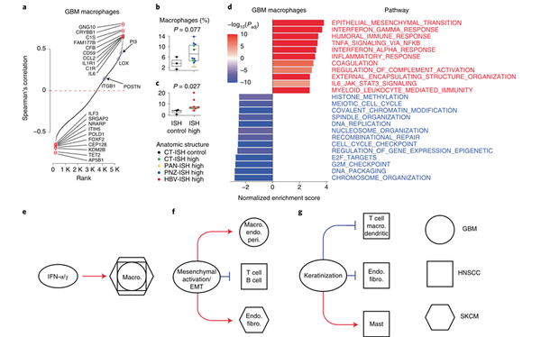 Nat. Cancer | 肿瘤学中的bulk和scRNA-seq的贝叶斯整合分析 - 知乎