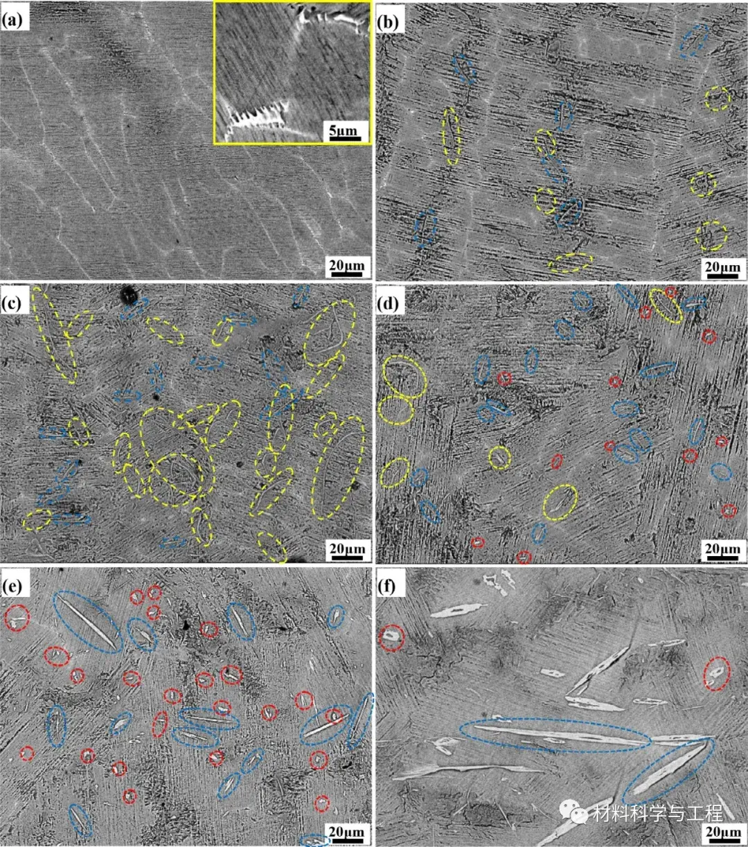 哈工大《JMST》：添加硼提高钛铝合金的强塑性！ - 知乎