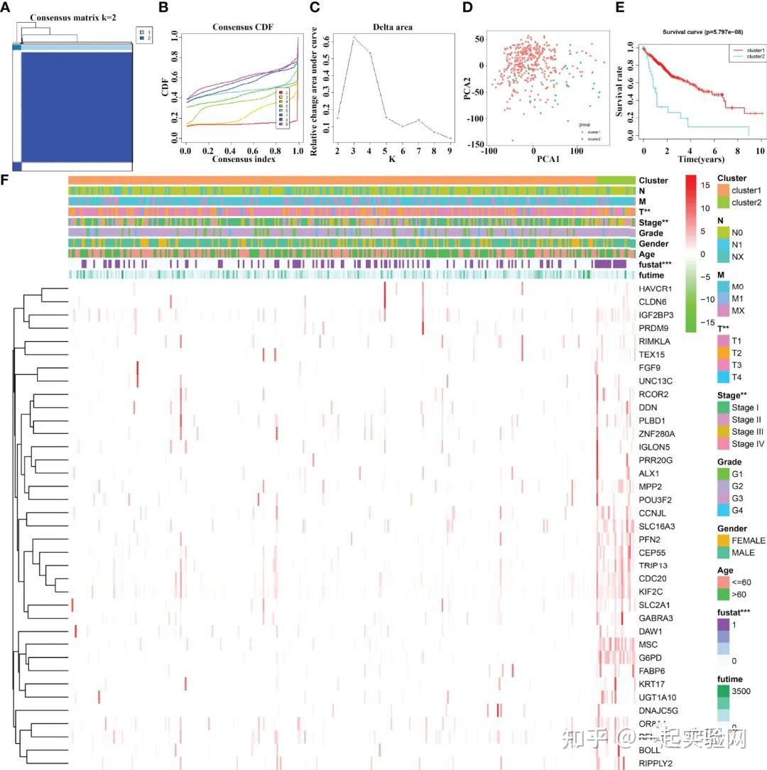 还在做m6A？一起来看看m5C和m1A吧！ - 知乎