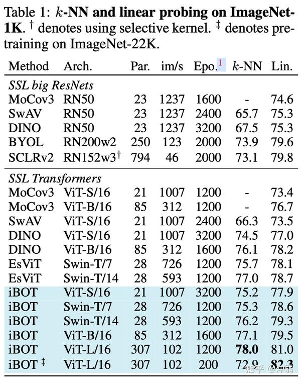 一篇文章搞懂iBOT - 知乎