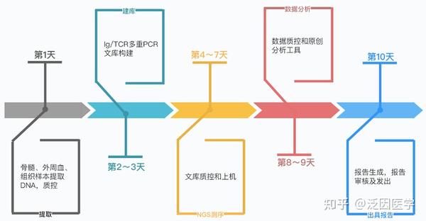 淋巴瘤NGS Ig/TCR克隆性重排检测 - 知乎