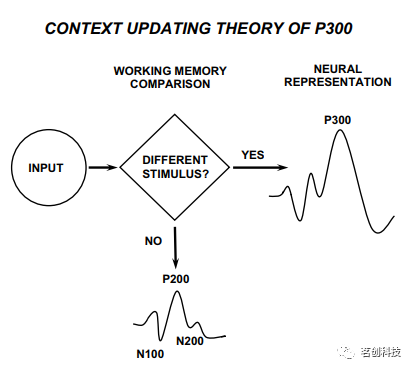 经典再读 | P3a与P3b的整合理论 - 知乎