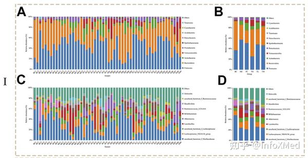文献解读：JCR | 揭示HRG治疗非酒精性脂肪肝的作用机制 - 知乎
