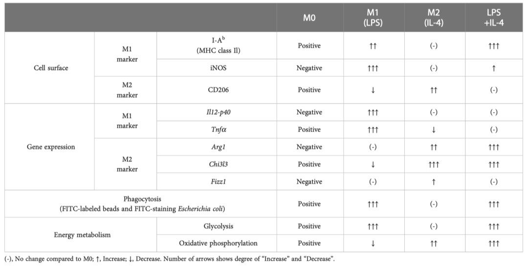 Front. Immunol丨用 LPS 和 IL-4 同时刺激诱导独特的巨噬细胞亚群 - 知乎
