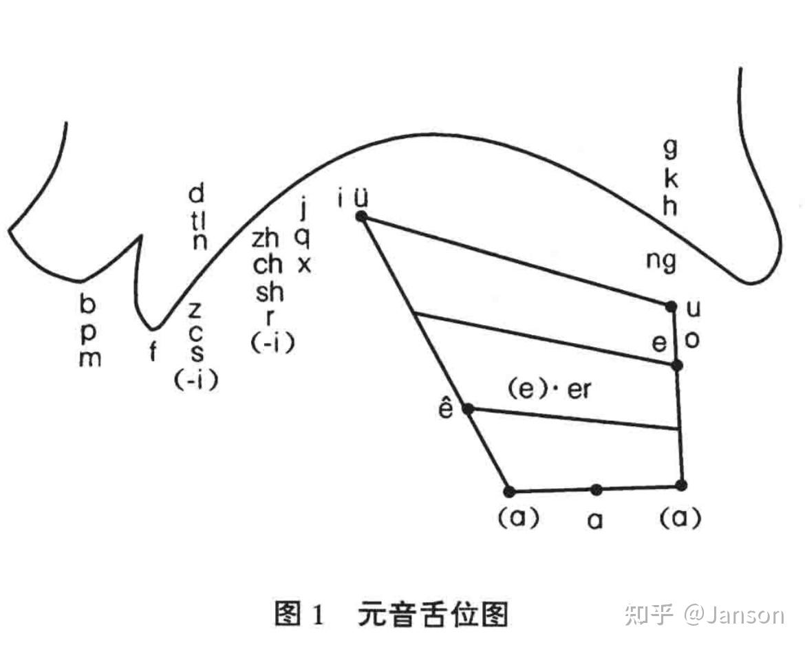 普通话舌尖后阻(zh ch sh)发音及纠正 - 知乎