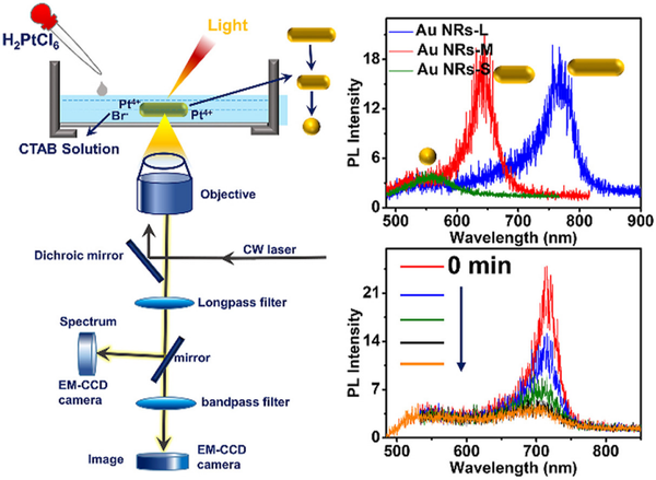 精选干货丨光学表面等离子共振仪SPR技术应用合集来了 - 知乎