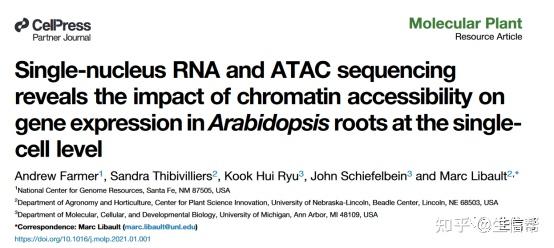 MP|snRNA-seq和snATAC揭示了拟南芥根中染色质可及性对基因表达的影响 - 知乎