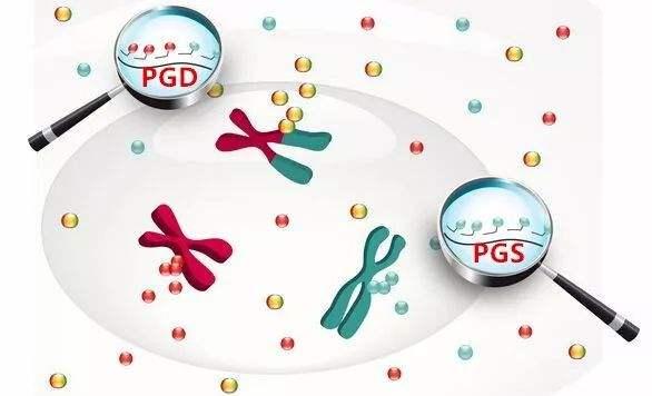 第三代试管选择的是PGD、PGS还是PGT，NGS又是什么? - 知乎