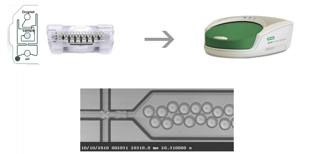 微液滴数字PCR之伯乐QX200 - 知乎