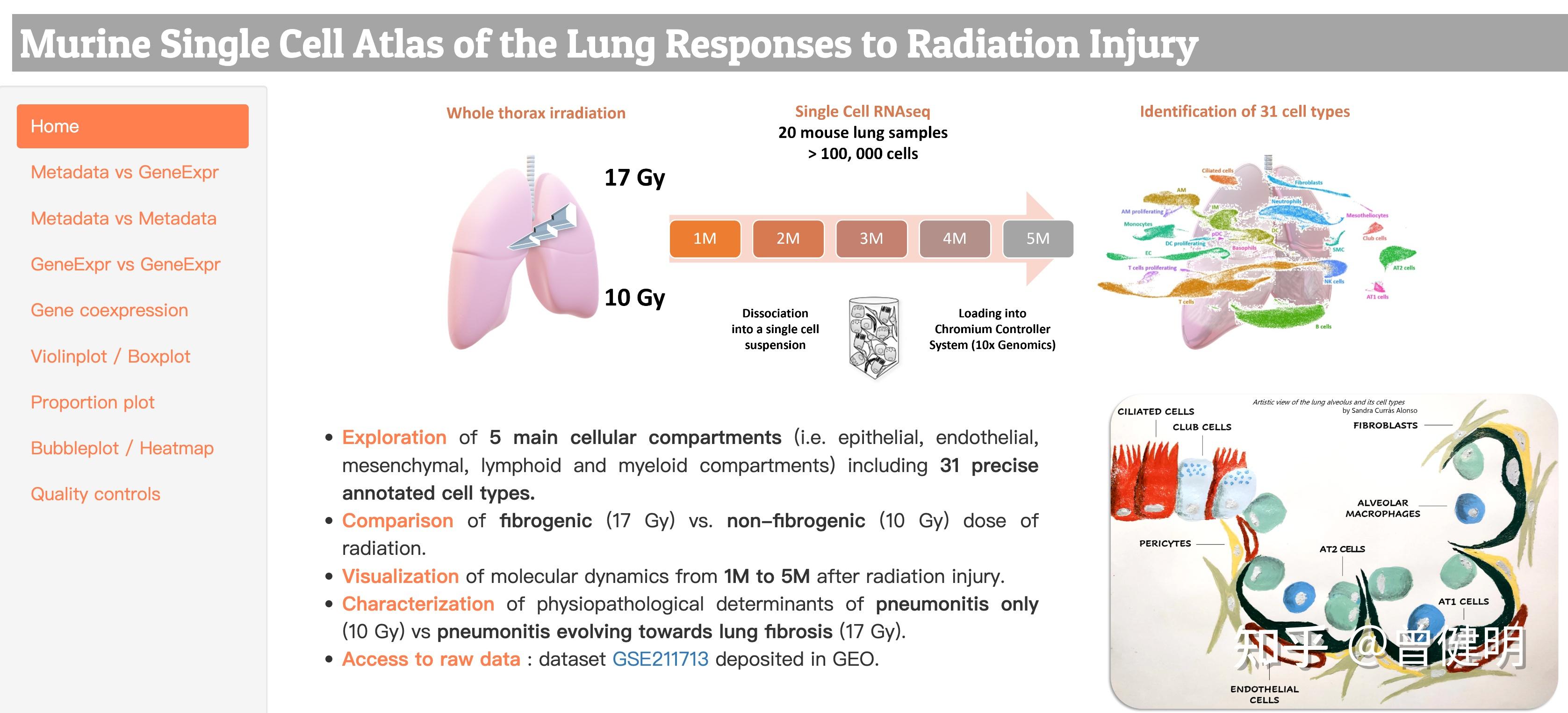 基于Seurat的单细胞对象使用ShinyCell自动化生成网页 - 知乎