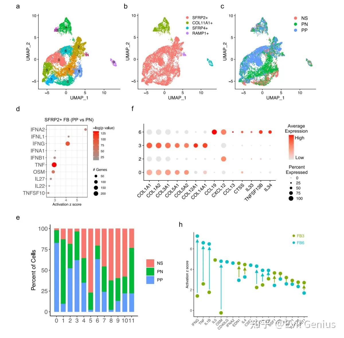 单细胞和空间测序确定了牛皮癣中角质形成细胞和成纤维细胞放大炎症反应的过程 知乎