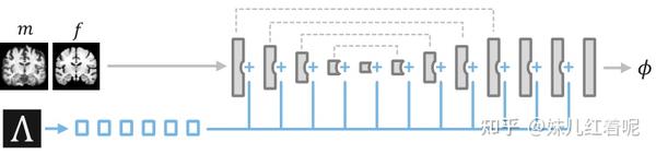 以小见大——Hypermorph，更好地在配准任务中摊销损失超参数搜索上的成本 - 知乎