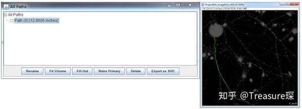 ImageJ实用技巧——Simple Neurite Tracer(插件篇) - 知乎