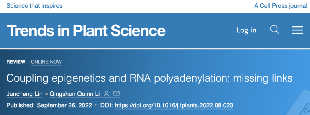 Trends Plant Sci | 厦门大学李庆顺课题组综述植物表观遗传调控转录后RNA加工的机制 - 知乎