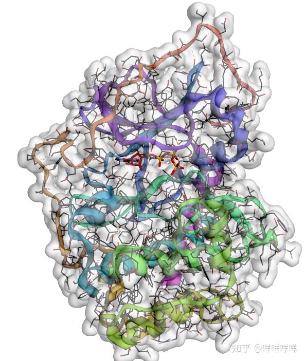 8.0 PyRosetta中的配体细化Refinement（又称高分辨率局部对接），使用ligand.wts分数函数 - 知乎