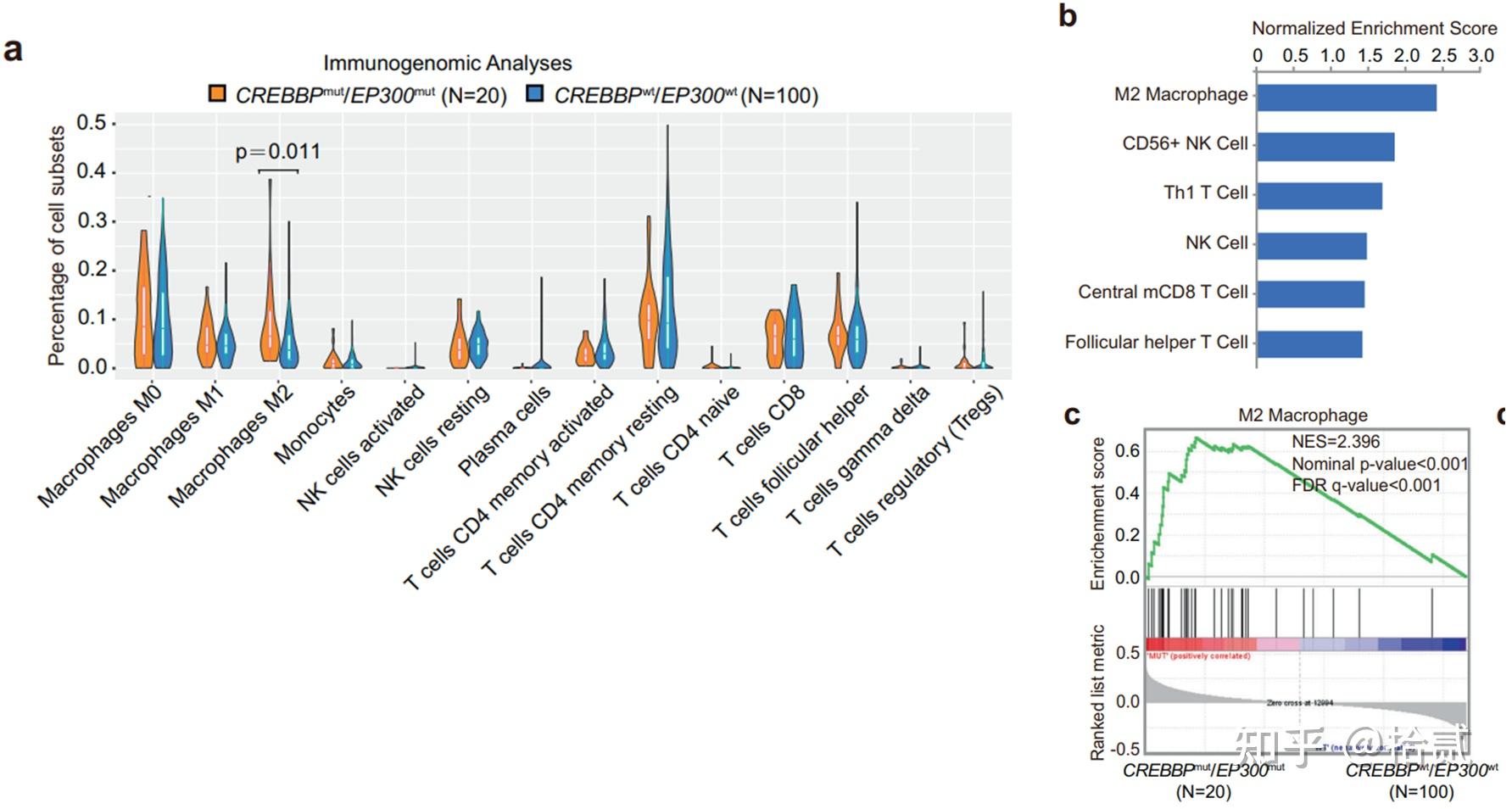 CREBBP/EP300突变通过FBXW7-NOTCH-CCL2/CSF1轴改变肿瘤相关巨噬细胞极化促进DLBCL进展 - 知乎