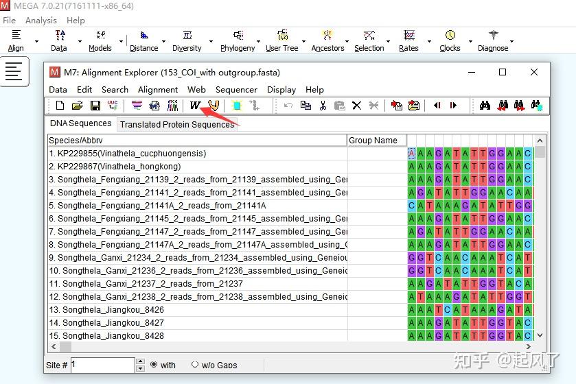 iqtree建立系统发育树——ML法 - 知乎