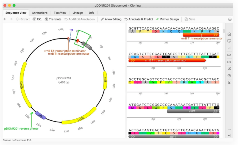 Geneious Prime分子生物学和序列分析软件 - 知乎
