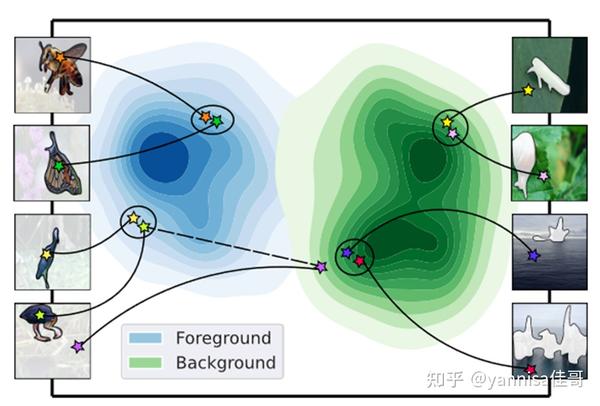CCAM:Contrastive learning of Class-agnostic Activation Map for WSOL and ...