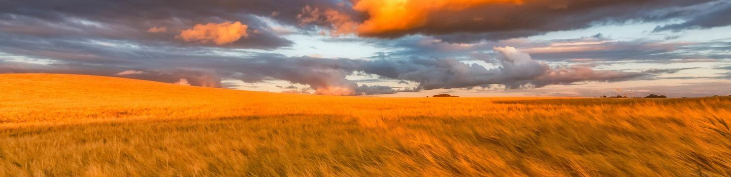 商业银行内部资金转移定价（FTP）详解（三）—定价方法 - 知乎