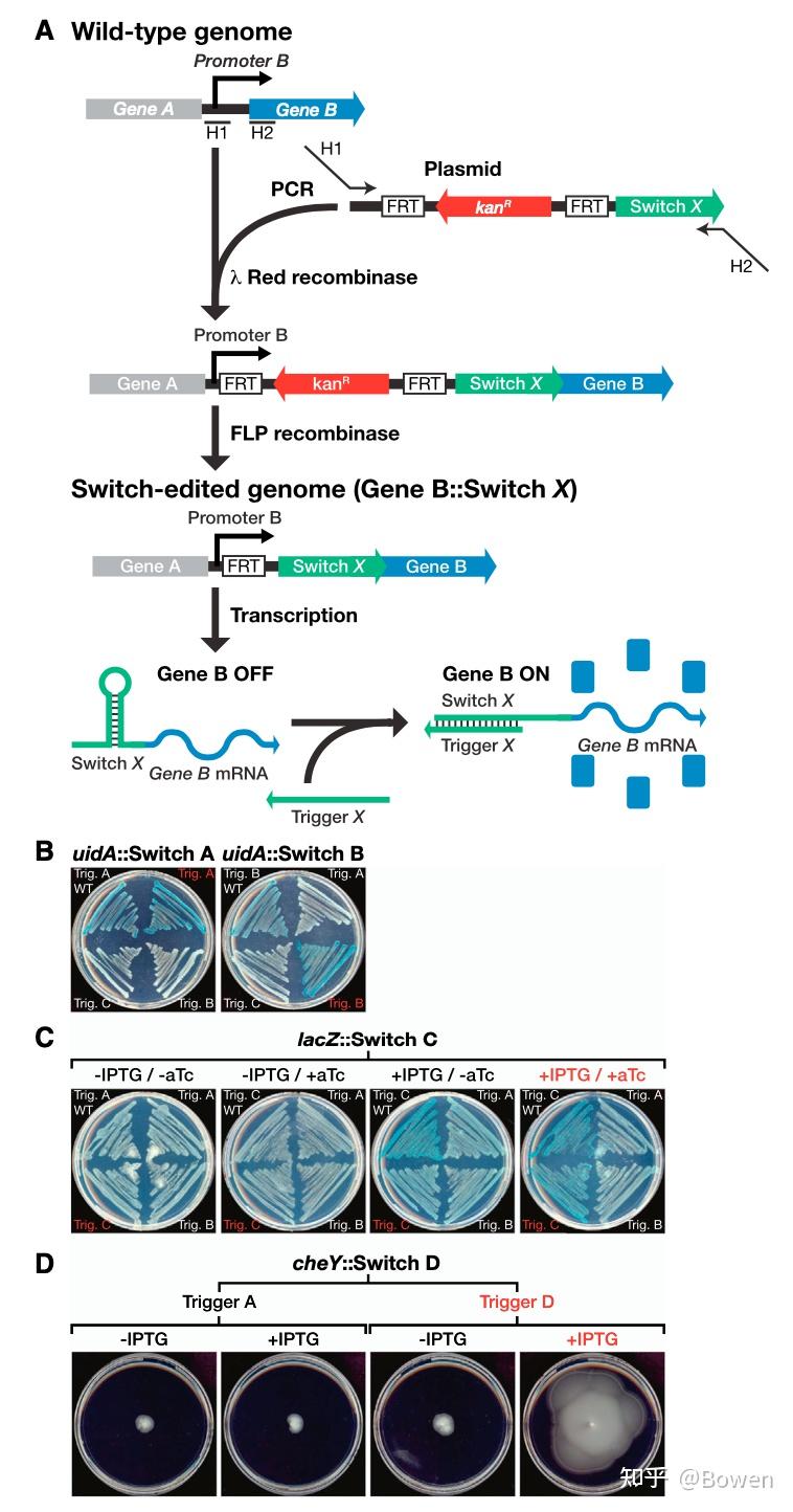 分子检测领域文章分享 - 知乎