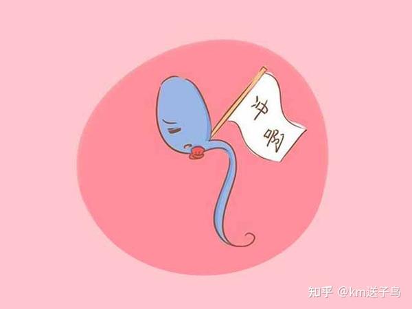 弱精症能自然怀孕吗 - 知乎