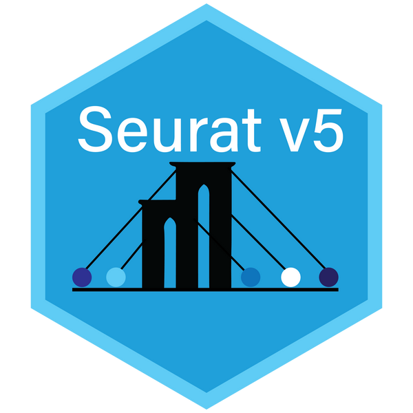 🤩 Seurat V5 | 最火的单细胞测序分析工具重磅更新啦！~ - 知乎