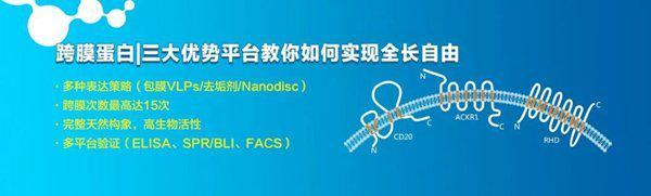 DT3C：ADC抗体内化效率体外检测新工具 - 知乎