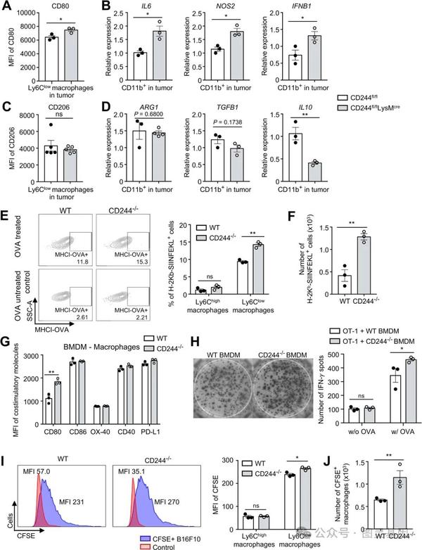 Mol Cancer | 单核细胞 CD244 缺失促进分化为抗肿瘤巨噬细胞，增强 PD-L1 阻断 - 知乎