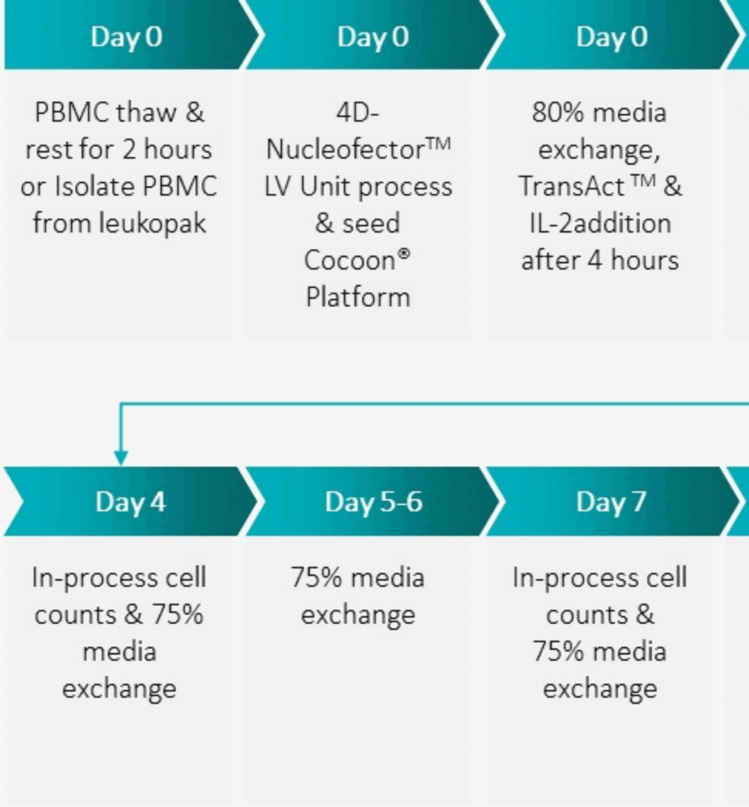 Lonza Cocoon和4D电转联用T细胞非病毒转导扩增方案_化工仪器网