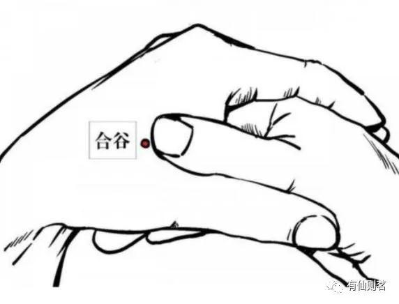 祛湿气找它们，湿气最怕的10个穴位 - 知乎