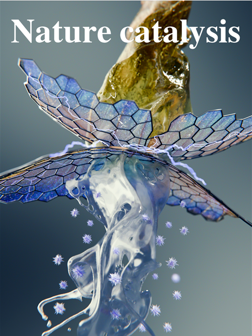 登Nature Catalysis封面（IF=47.1）！河南大学教授打破校史，入职首个工作即获重大突破 - 知乎